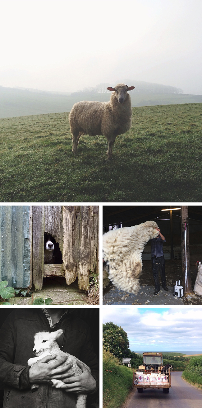 Farm to needle: Benjamin Hole talks about getting into the yarn biz ...